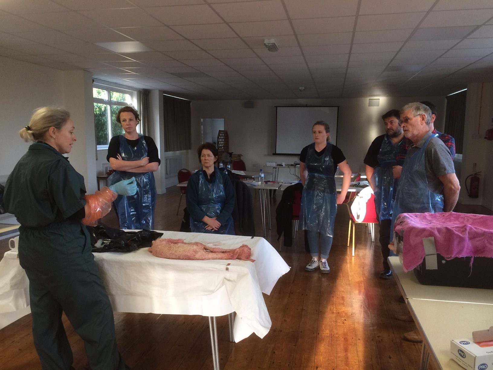 Camelid Neonatal Course – West Shires Alpaca Group