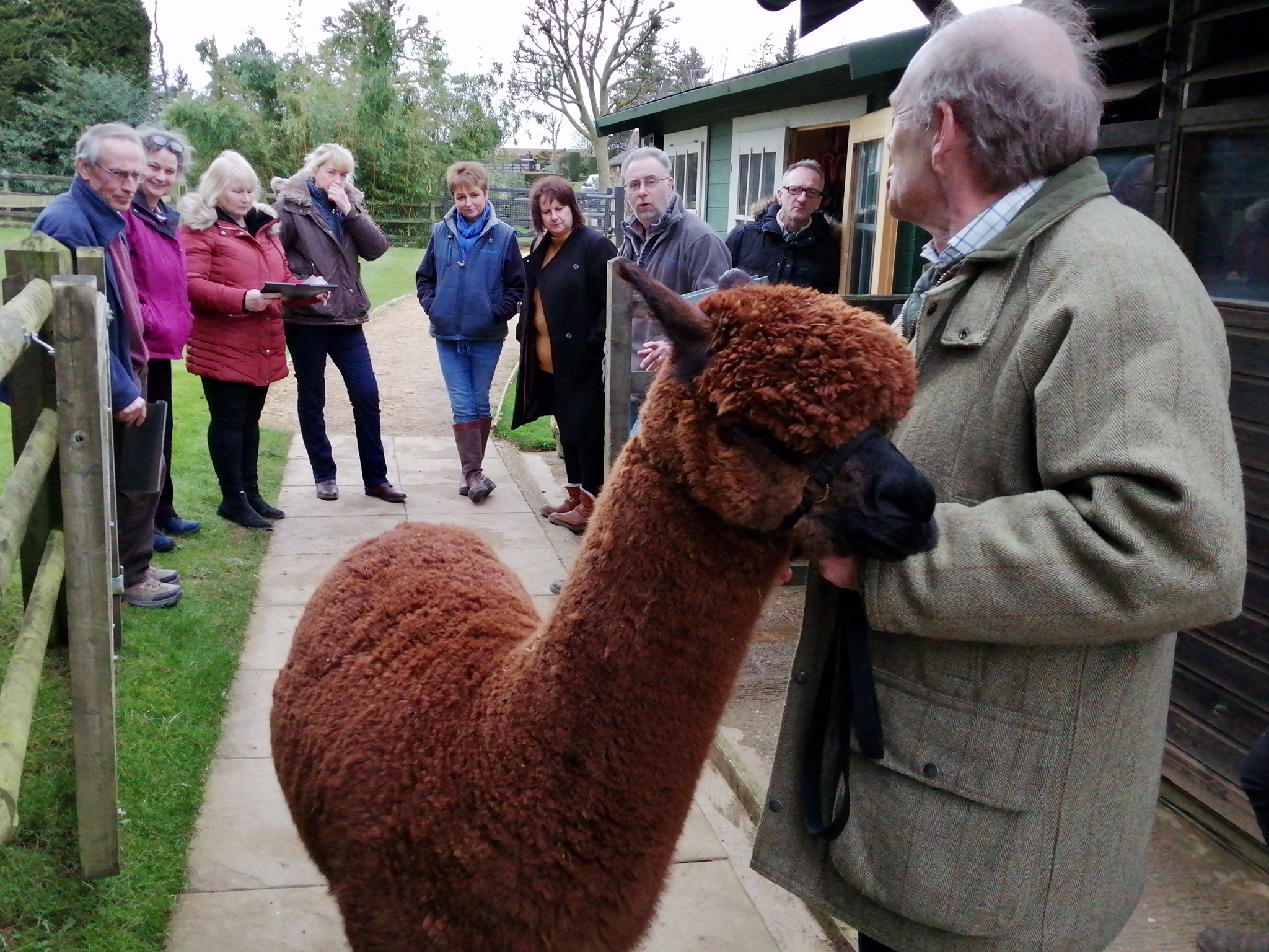 Latest News – West Shires Alpaca Group